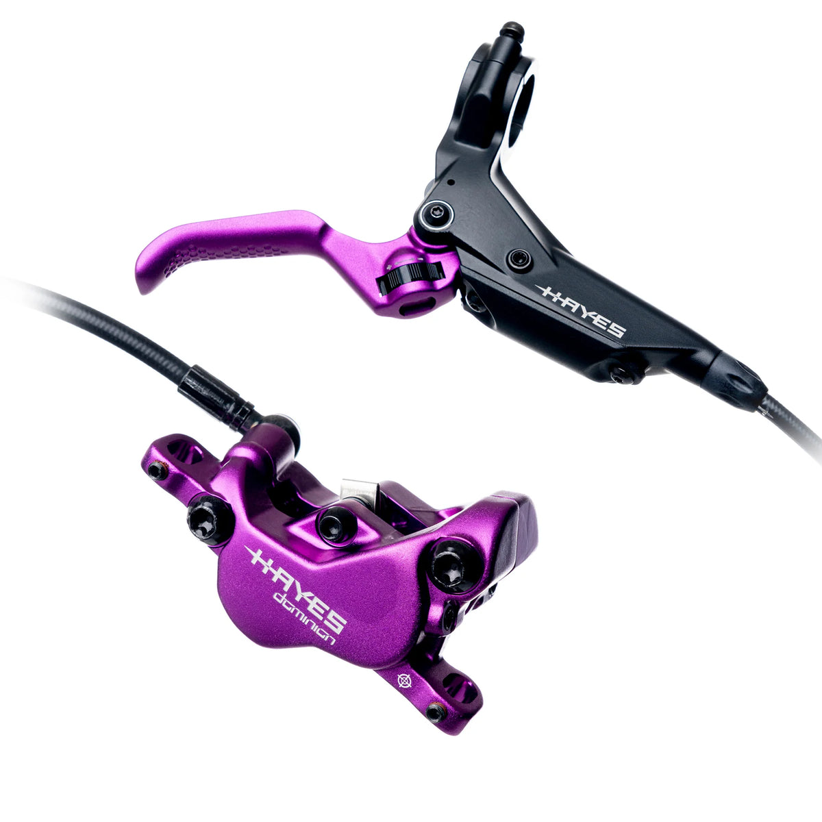 Hayes Dominion A4 Brake Kit LTD – Biggride Australia